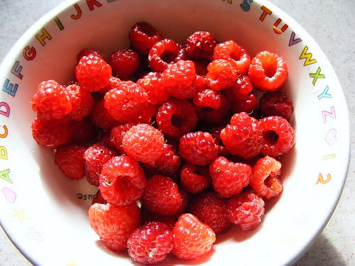 friday feast: raspberry rapture (a poem and a recipe) | Jama's Alphabet ...
