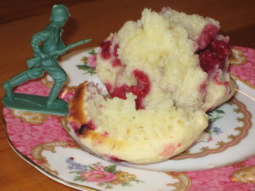 friday feast: raspberry rapture (a poem and a recipe) | Jama's Alphabet ...