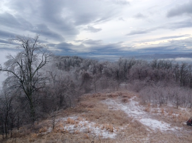 Faith Shearin’s “A Few Things I Ate” (+ a recipe!) | Jama's Alphabet Soup