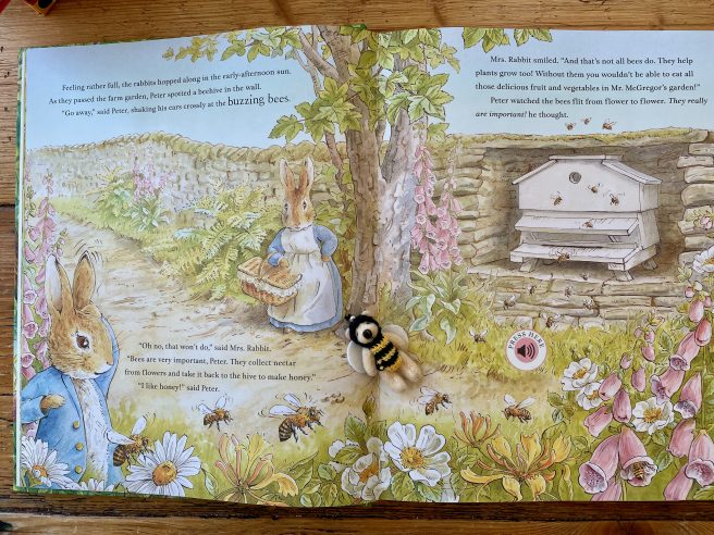 [whiskery review + recipe] The World of Peter Rabbit: Peter’s Nature ...